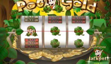 Slots Online > Slot Machine Guide 800+ Vegas Slots Reviews